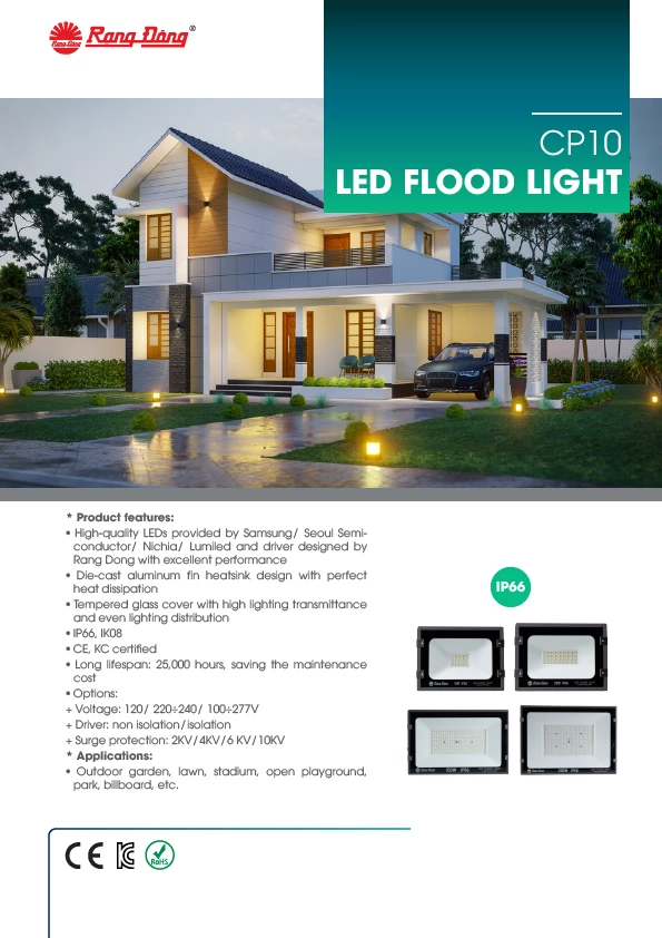 CP10 LED FLOOD LIGHT